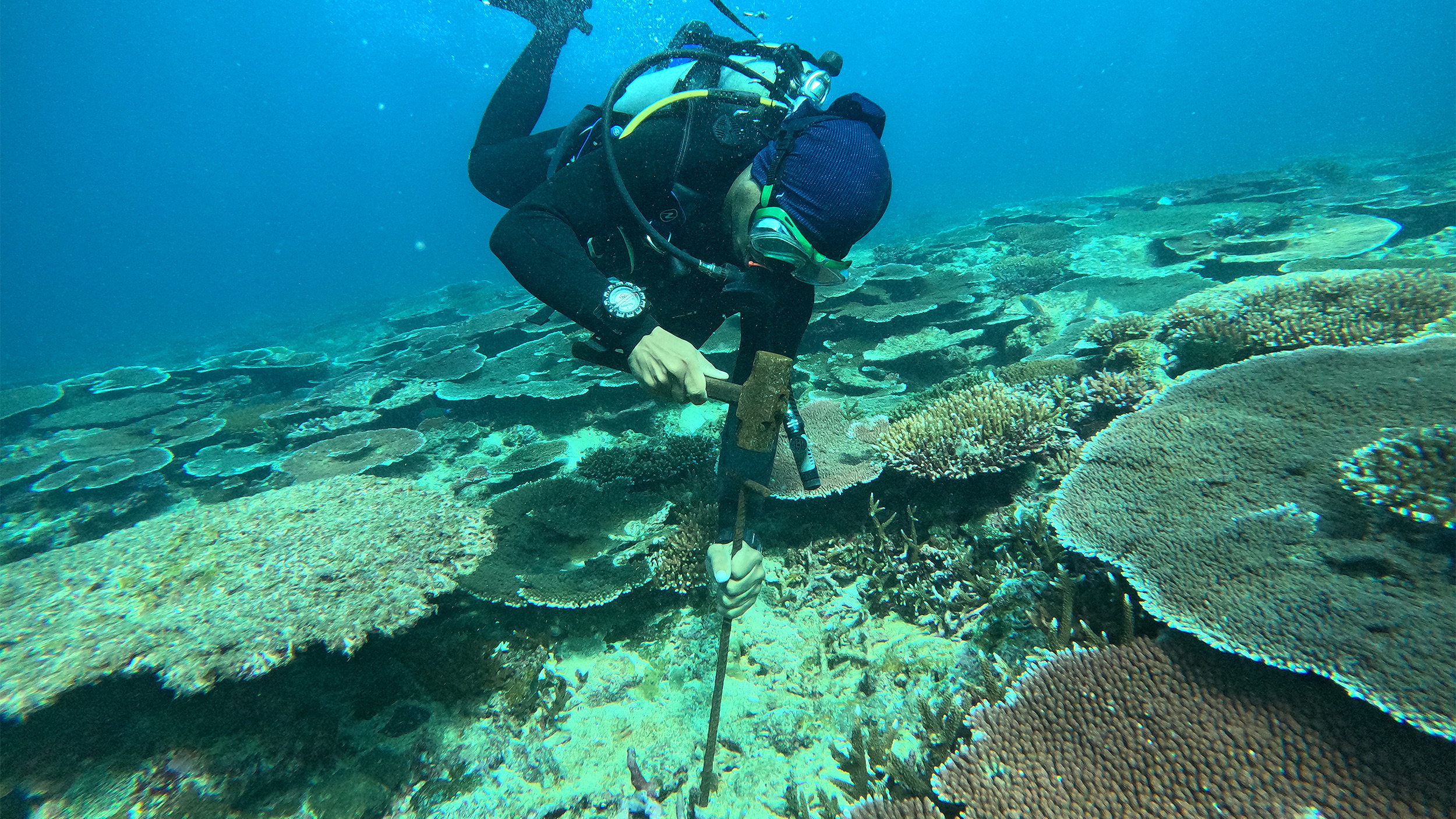 Dakshin Foundation - Heroes of the Sea