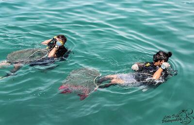 SSI-Blue Ocean - Heroes of the Sea